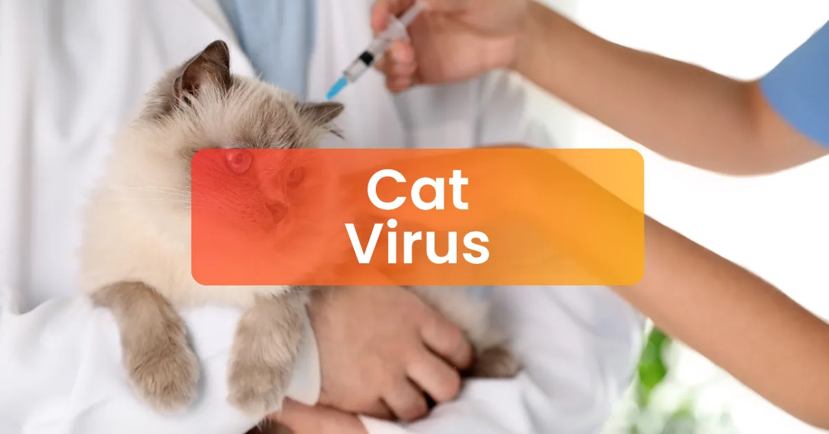 Cat Virus Treatment | Vet Subang Jaya - Safe & Trusted