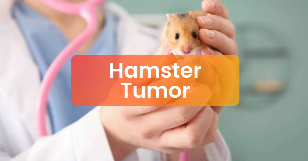 Hamster Tumor Surgery | Veterinary Clinic Subang Jaya