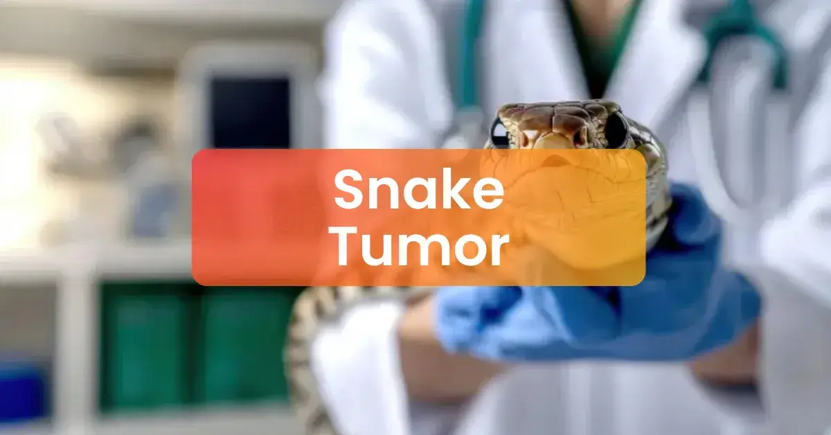 Snake Tumor Guide | Types, Symptoms, Diagnosis & Treatment